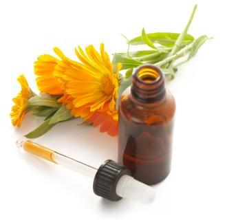 Homeopathy Gold Coast | Gold Coast Mental Health | Linda Cairns